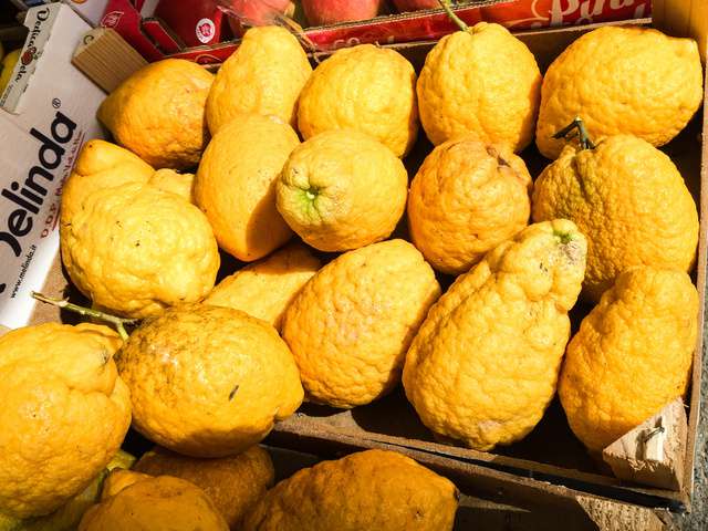 Recettes de Cédrat et Agrumes