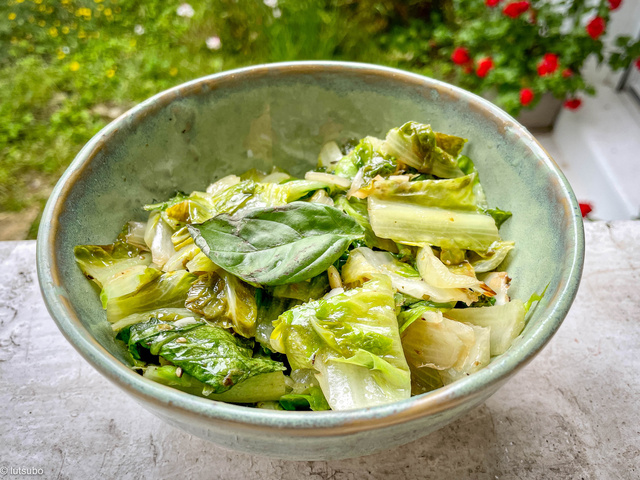 Recettes de Salade romaine