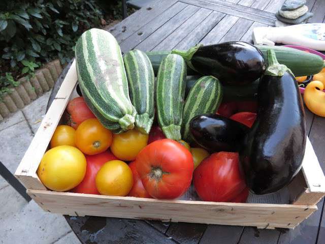 Recettes de Légumes de Ma cuisine de saison