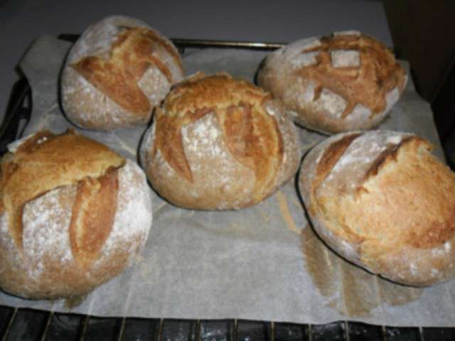 Recettes de Levain de ma cuisine de tout les jours