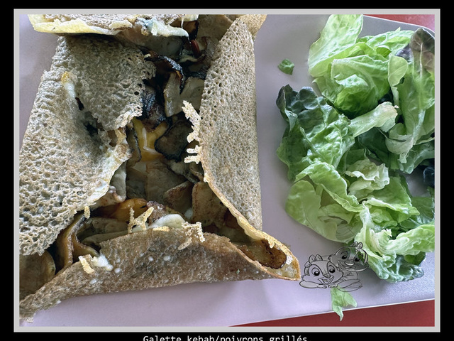 Recettes de Kebab de Cahier de cuisine à 4 mains.