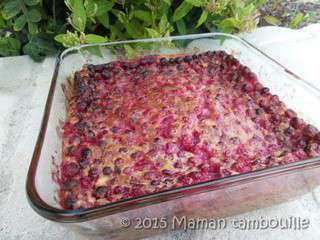 Recettes de Clafoutis aux groseilles