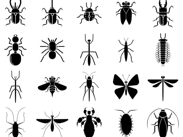 Recettes de Régime de mariamadeleine