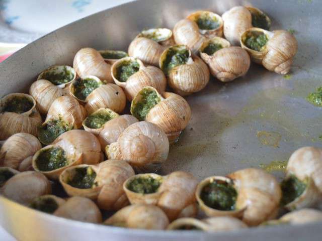 Recettes d'Escargots