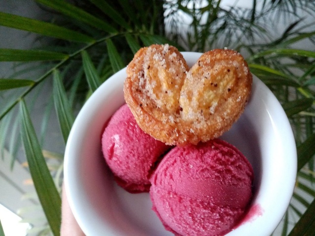 Recettes de Sorbets et Fruits rouges
