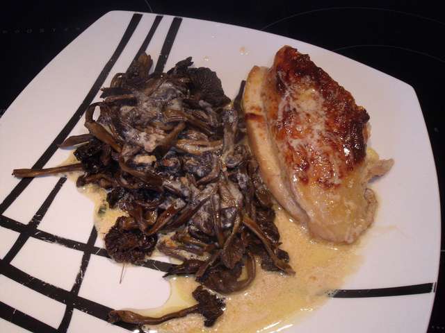 Recettes de Girolles Grises