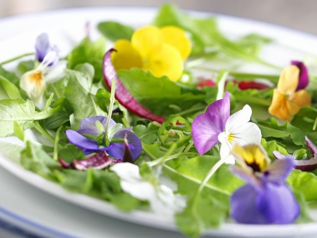 Recettes de Fleurs
