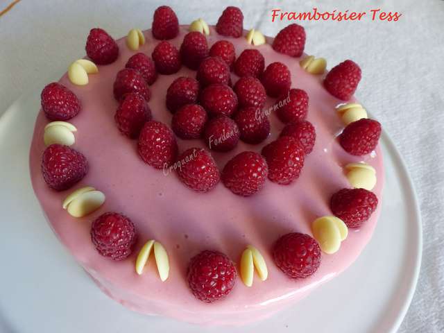Recettes de Framboisier - 4