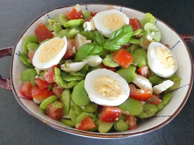 Recettes de Salade de feves