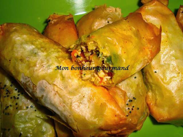 Recettes de Nems de Mon bonheur gourmand