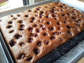 Recettes de Flexipat - 2