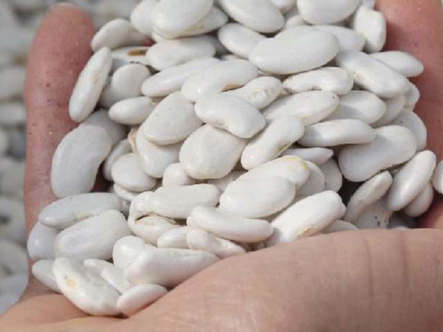 Recettes de Haricot tarbais