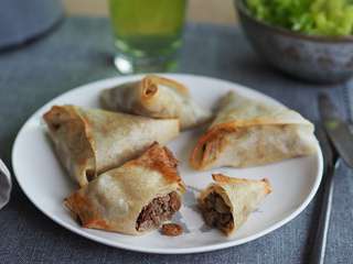 Recettes de Bricks et Bœuf