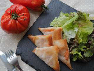 Recettes de Bricks et Apéro