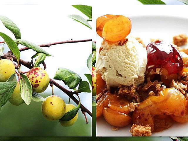 Recettes de Chaud-froid et Fruits