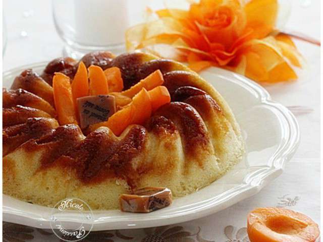 Recettes de Gâteau Rapide de Nicole Passions