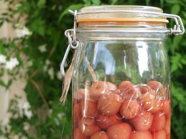 Recettes de Conserve et Cerises