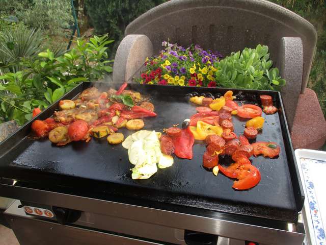 Recettes de Plancha - 3