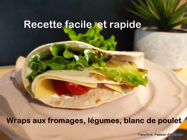 Recettes de Wrap - 14