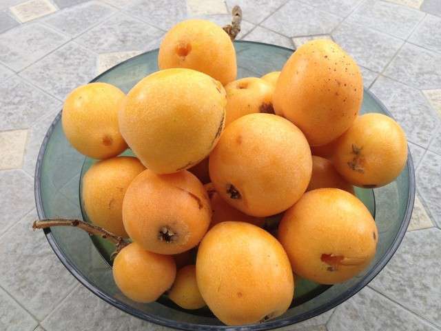 Les Meilleures Recettes de Nèfles