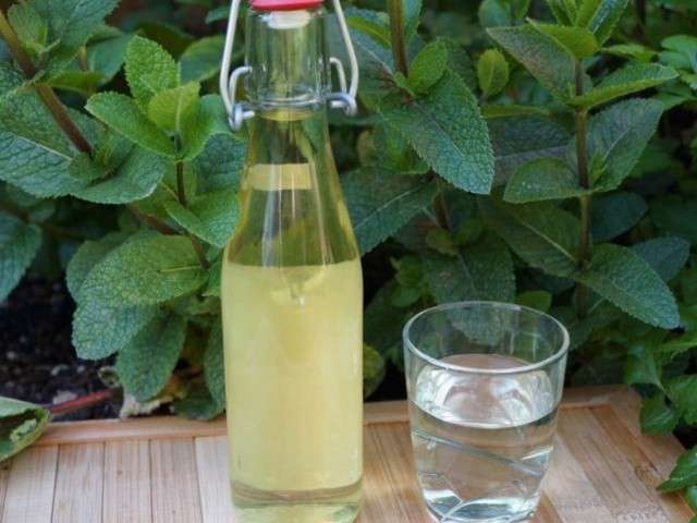 Recettes de Sirop de Menthe de Perrine cuisine