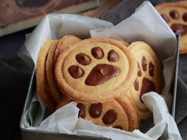 Recettes de Chat et Noisette