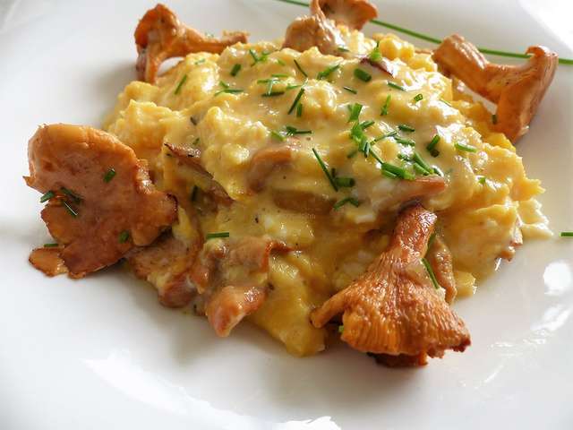 Recettes de Girolles de Philandcocuisine