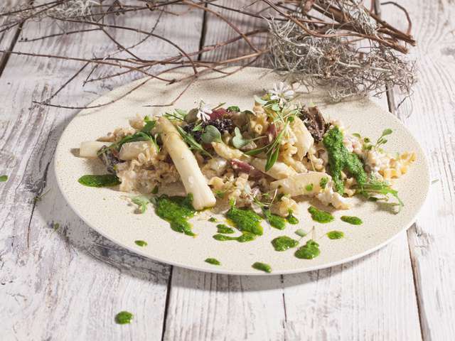 Recettes de Morilles de Philou - un cuisinier chez vous