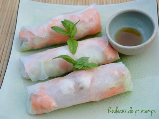 Recettes de Rouleaux de Printemps de Plaisir et Equilibre