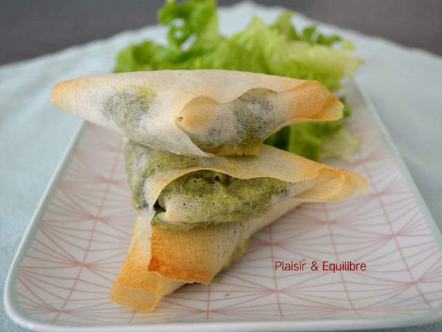 Recettes de Samoussas de Plaisir et Equilibre
