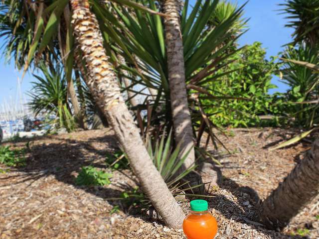 Recettes d'Eau minérale