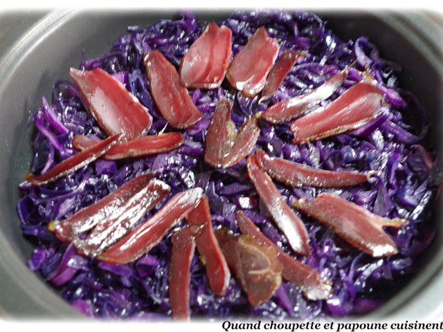 Recettes de Chou rouge de Quand Choupette et Papoune cuisinent