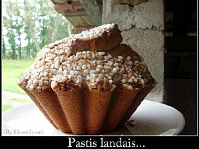 Les Meilleures Recettes de Pastis landais et Pastis