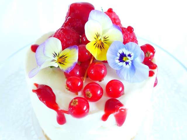 Les Meilleures Recettes de Fruits de Quatre saisons au jardin