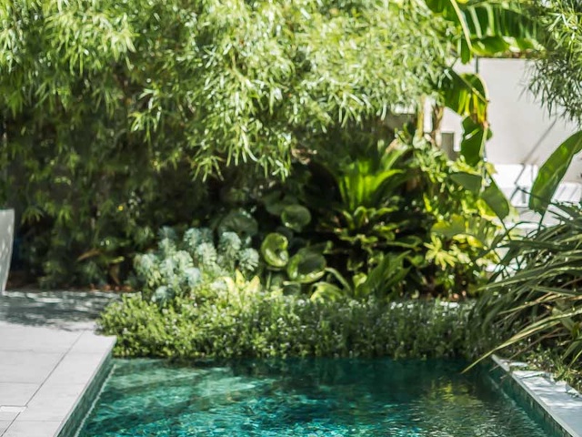 Recettes de Cuisine exotique