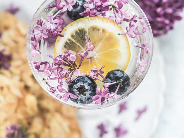 Recettes de Détox de Quatre saisons au jardin