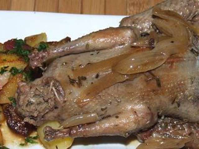 Recettes de Pigeons de cuisine d'Afrique