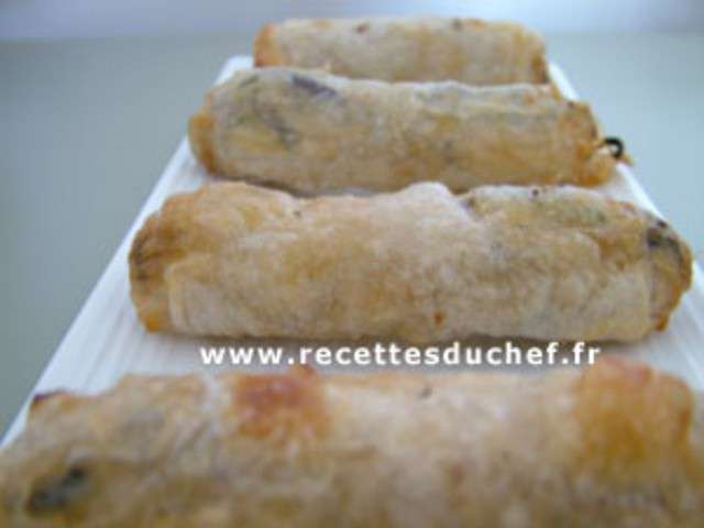 Recettes de Nems de Recettes du Chef
