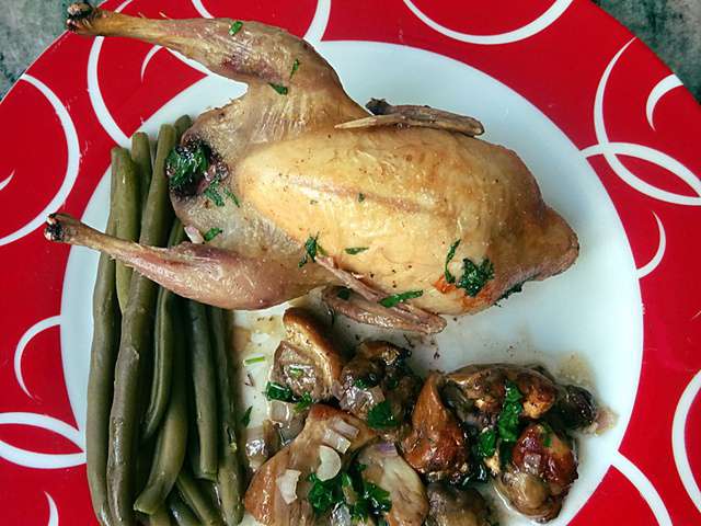 Recettes de Cailles et Volailles