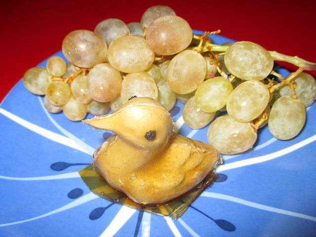 Recettes de Caneton de Recettes Simples