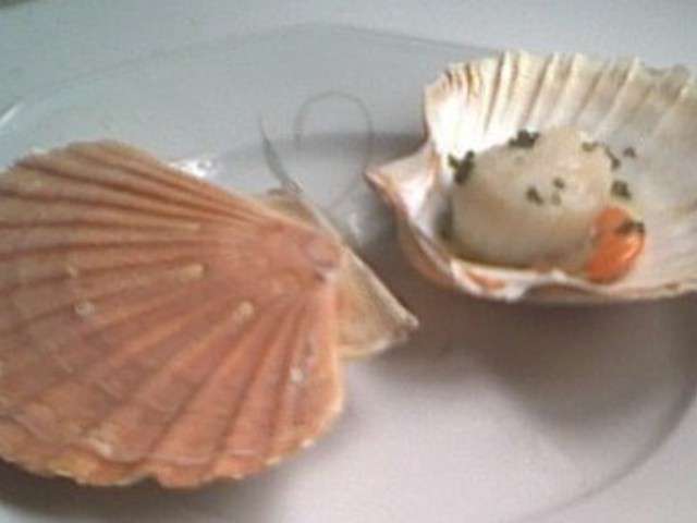 Les Meilleures Recettes de Coques et St Jacques