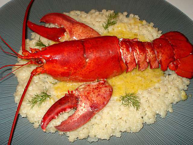 Recettes de Coquillages et Crustacés et Homard
