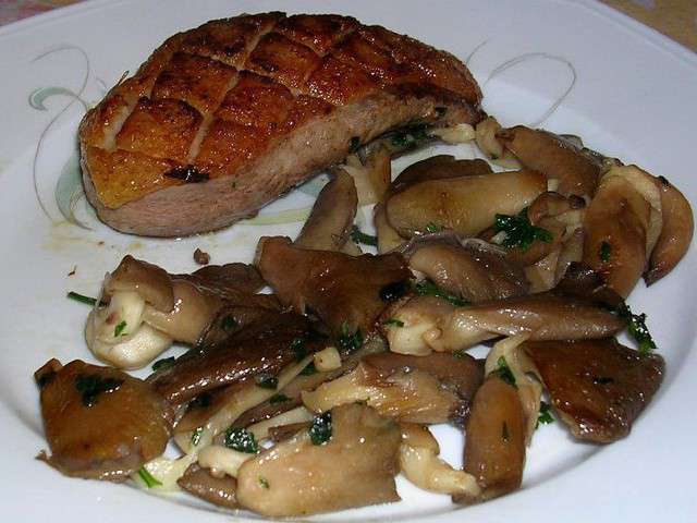 Les Meilleures Recettes de Pleurotes et Volailles