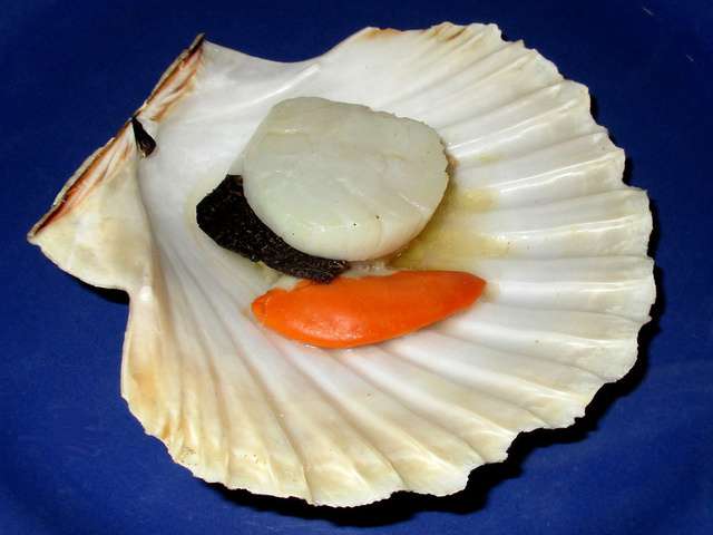 Recettes de Coquilles Saint-Jacques de Recettes Simples
