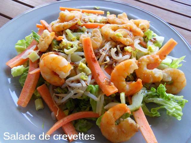 Recettes de Salade de crevettes de Recettes voyageuses de Barbara