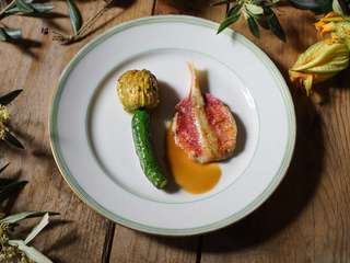Les Meilleures Recettes de Bécasse