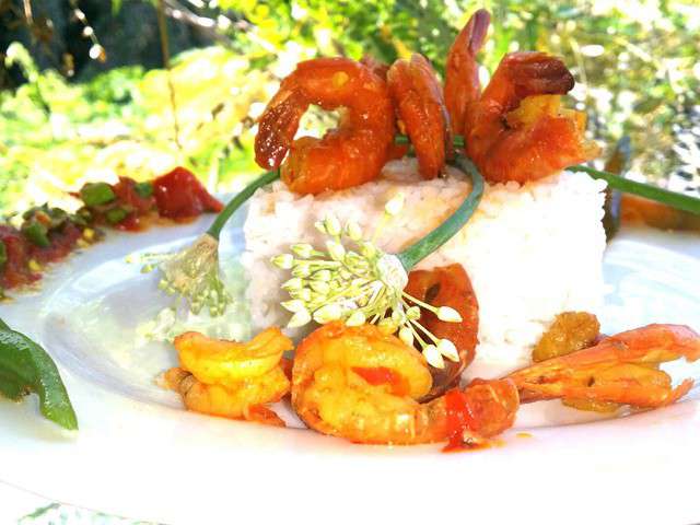 Recettes de Combava et Sauces