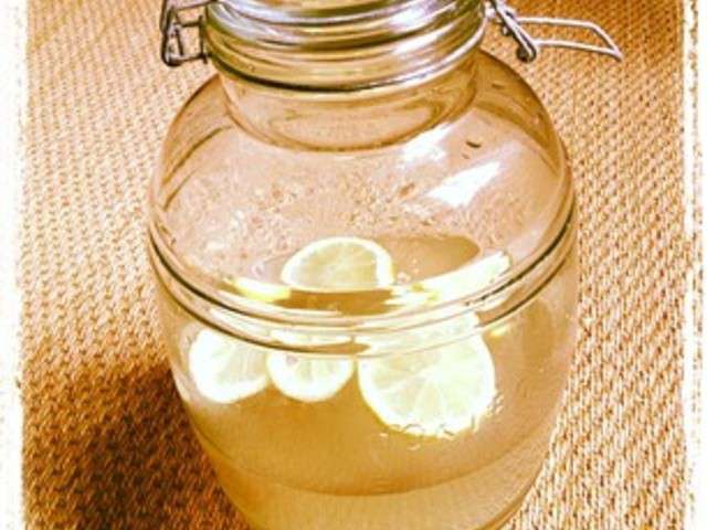 Recettes de Kéfir de salutmacaille