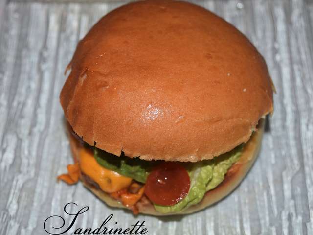 Recettes de Hamburger et Fromage