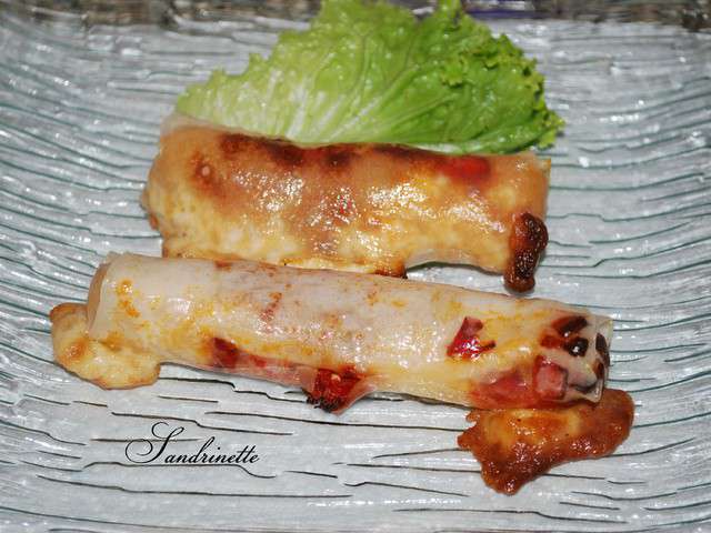 Recettes de Feuille de Riz